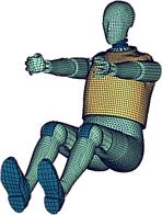 Frontal Dummy — DYNAmore GmbH