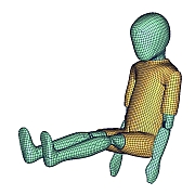 Kinder-Dummy-Modelle — DYNAmore GmbH